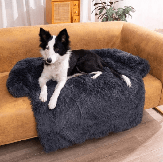 Coussin chien dehoussable | FURRY™ – Chic Canin
